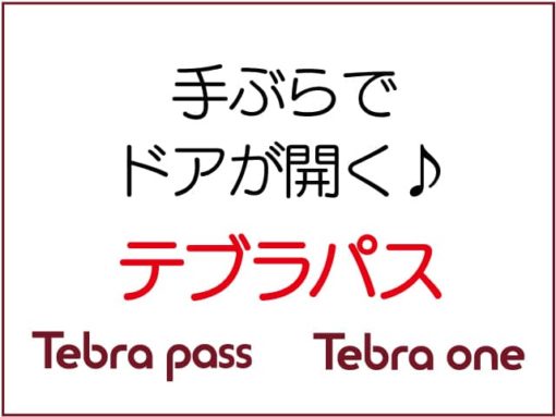 TebraPass テブラ・パス TebraOne テブラ・ワン - 全国防犯設備・防犯カメラ販売センターのトーカイセキュリティ